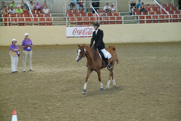 214. Equestrian Jake McManus Wins Bronze Medal in Special Olympics ...