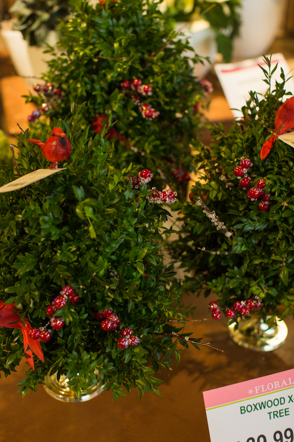 363. Heinens 4pm Panic: Homemade Holiday Gifts from the Kitchen ...