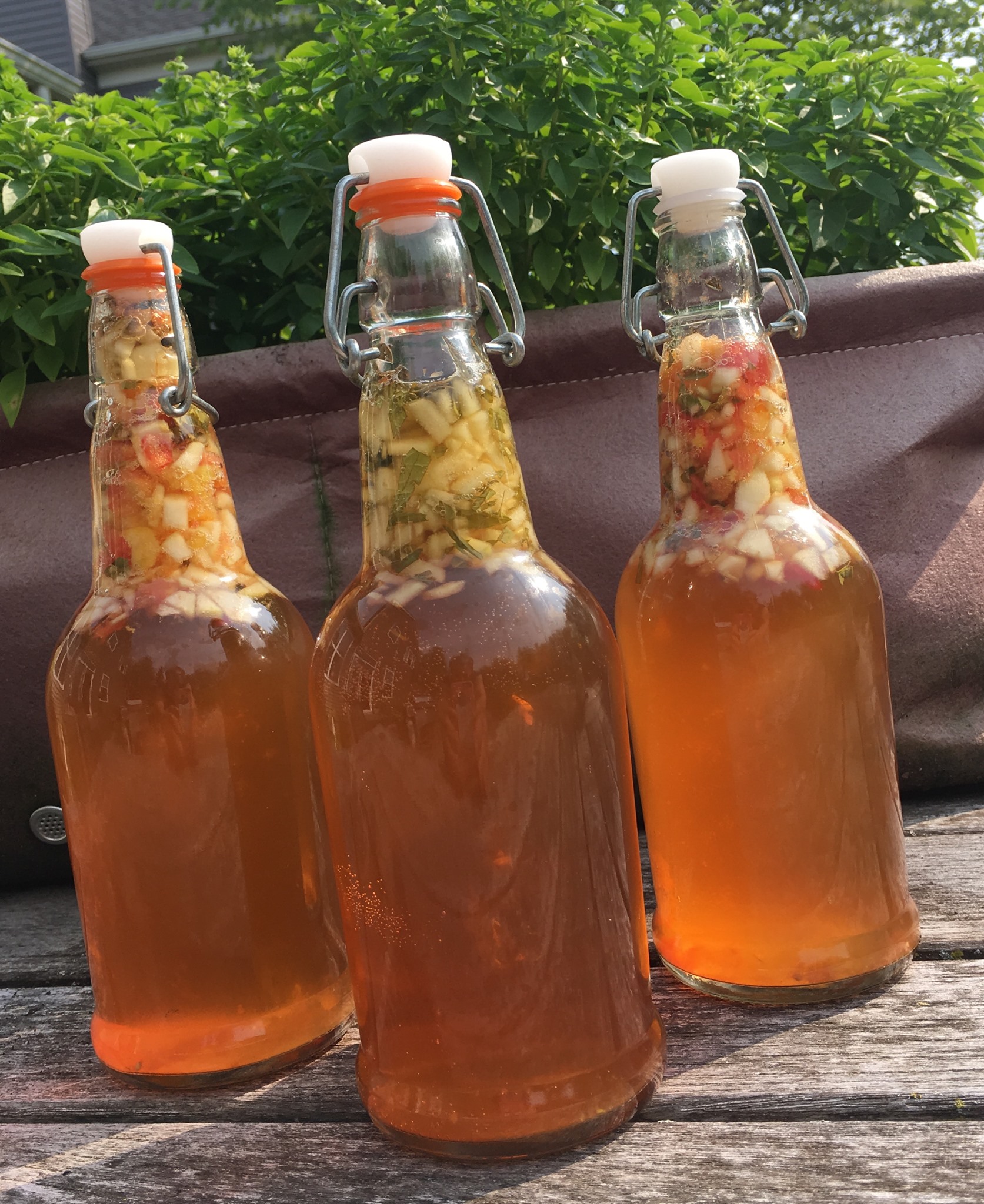 Learn to Home Brew Kombucha Tea with Smart Farm of Barrington ...